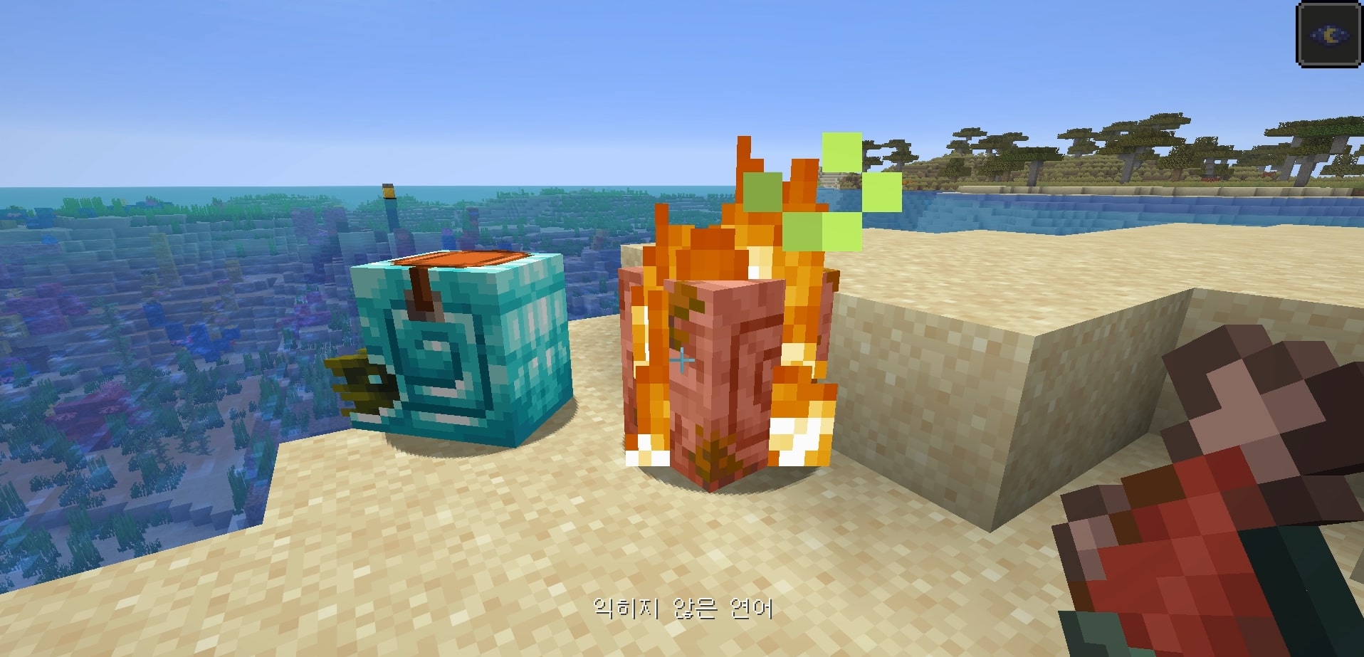Minecraft Nautilus Shell Guide(Spawn, Armor, Abilities)