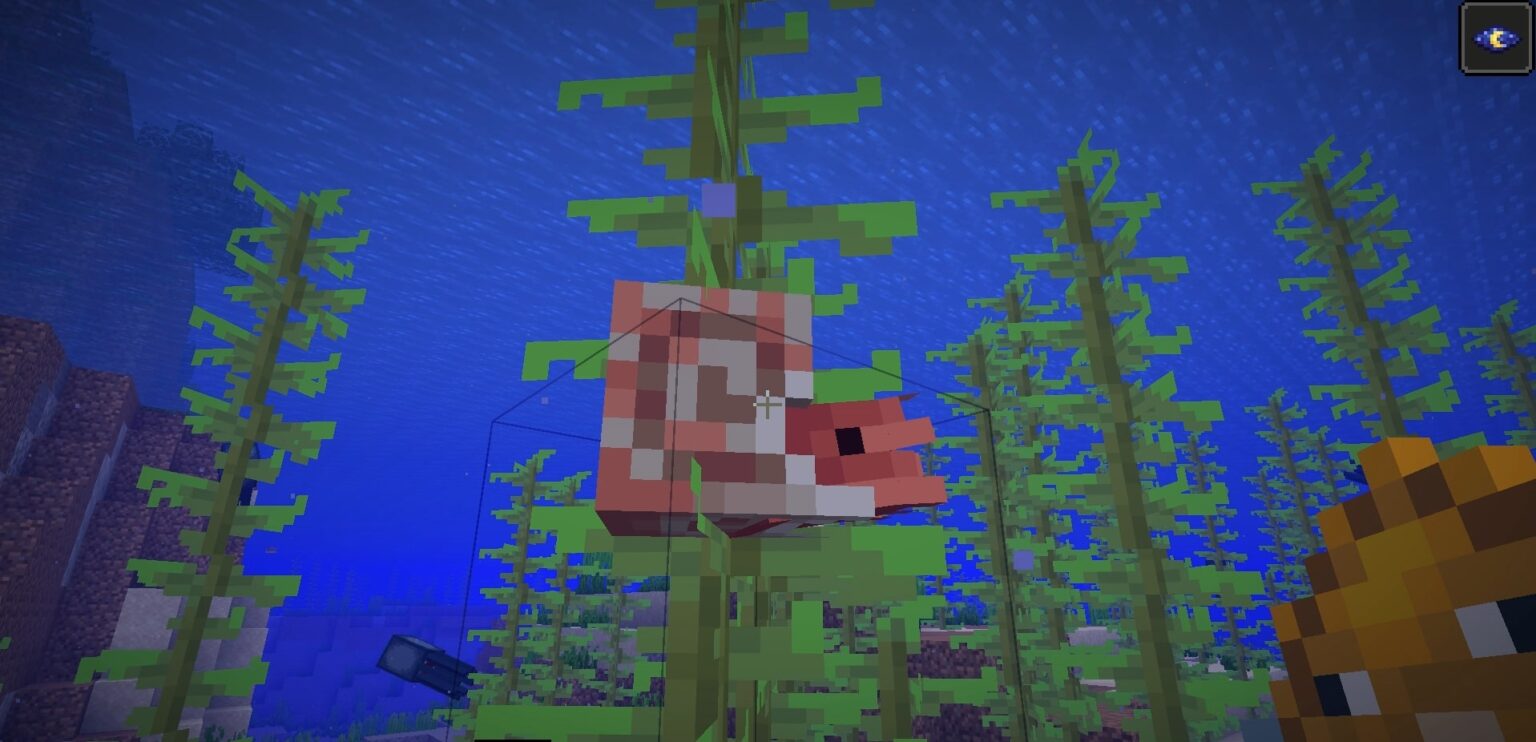 Minecraft Nautilus Shell Guide(Spawn, Armor, Abilities)