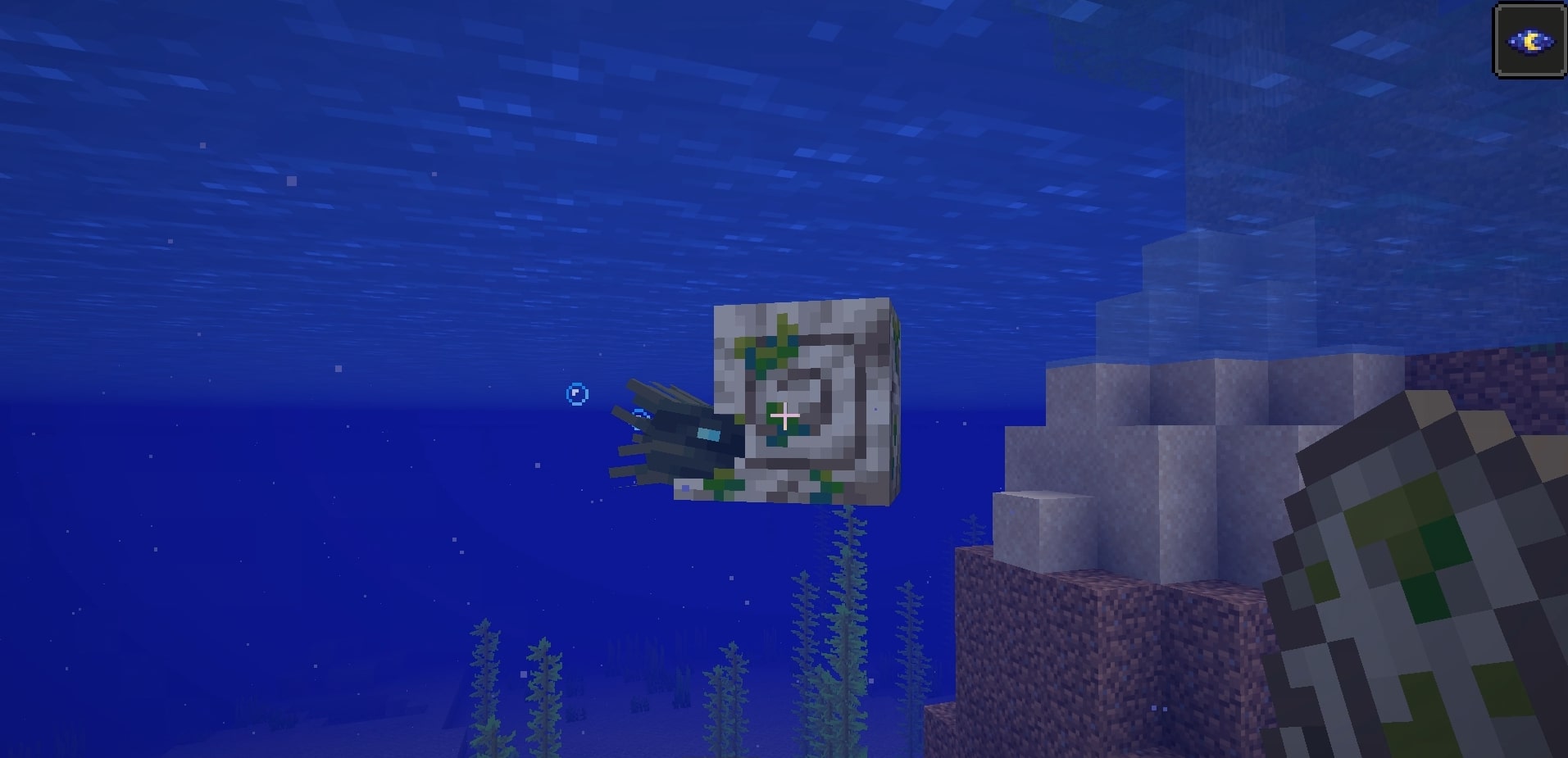 Minecraft Nautilus Shell Guide(Spawn, Armor, Abilities)